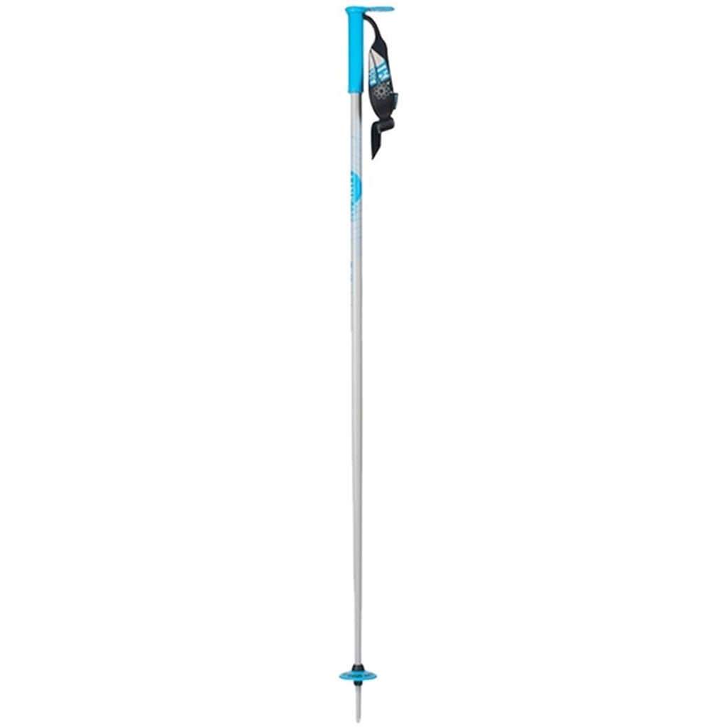 Line Wallischtick Pole Adult 2024 – Aspen Ski And Board