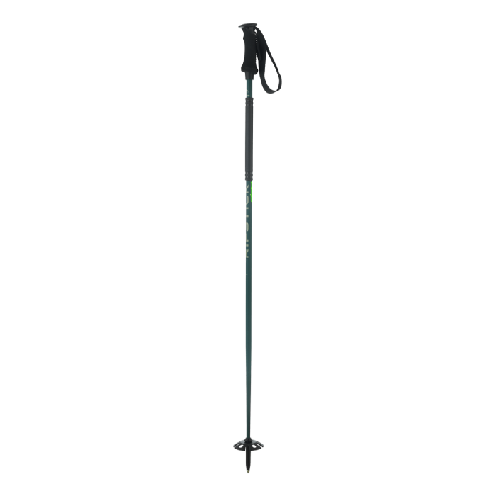Elan Ripstick Rod Ski Poles 2025 – Aspen Ski And Board